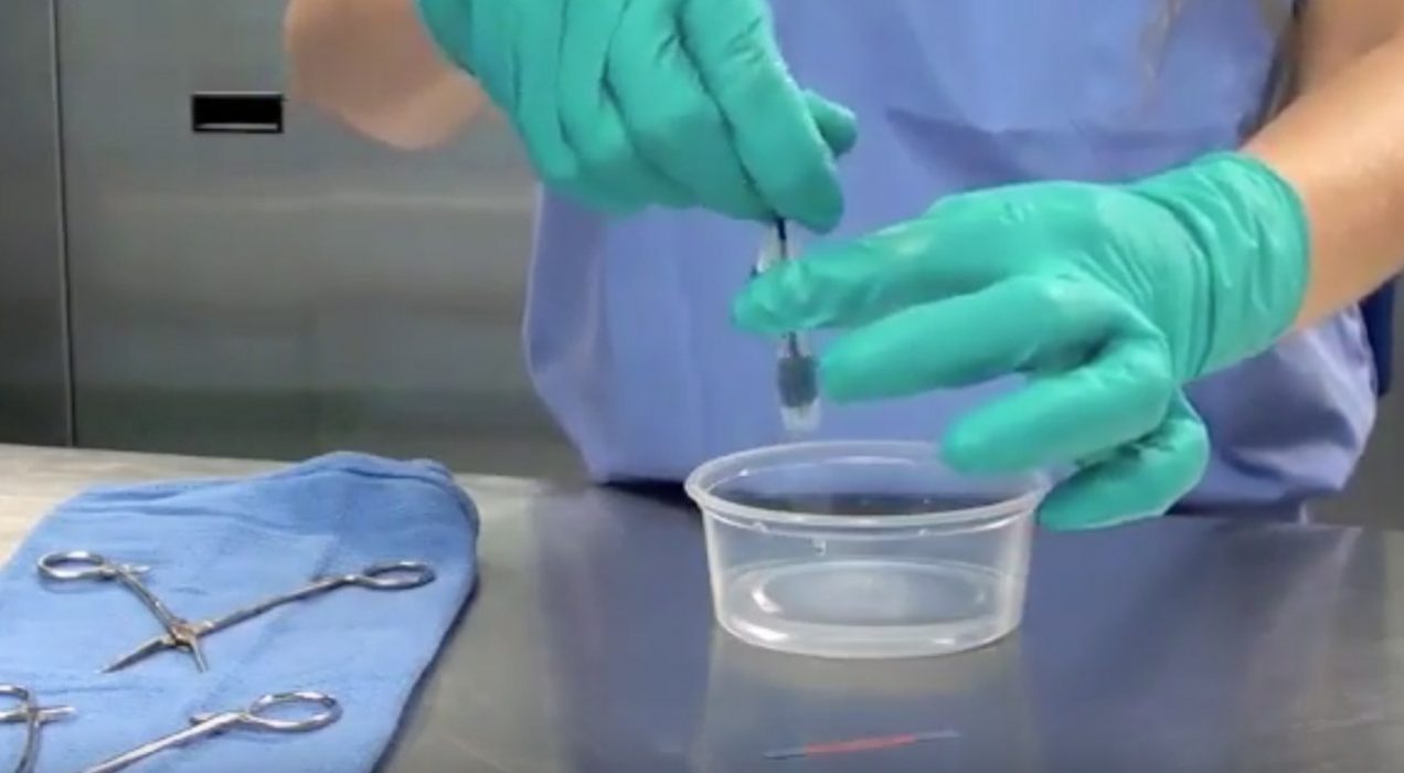 Testing And Validation Archives | Dentisan